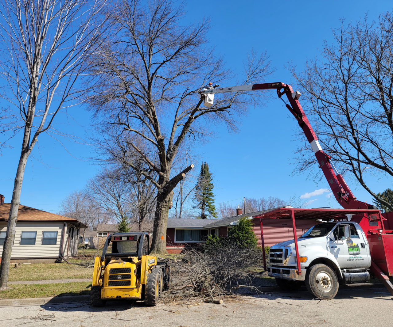 Miller's Tree Service - Offering Tree Trimming Services In Sparta, WI